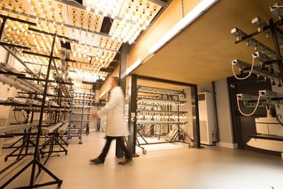 Other Lab Services | At The Heart of Lighting